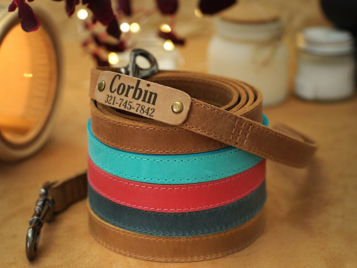 Walking Doggies | The Essential 5-in-1 Leather Dog Leash