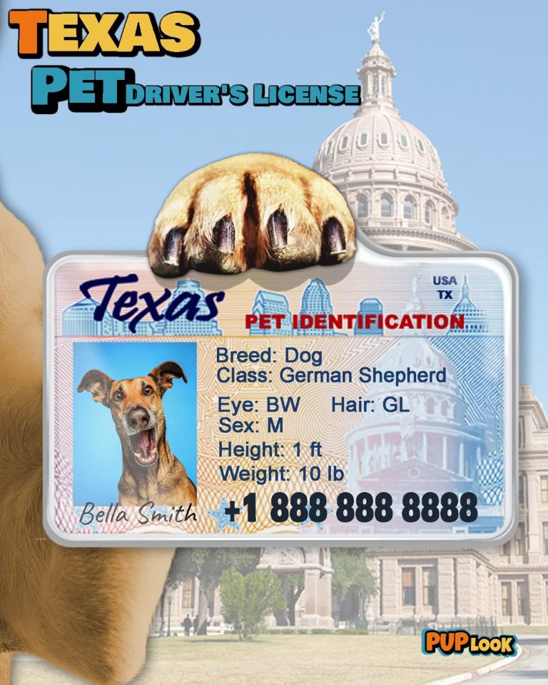 Walking Doggies | Handmade, Custom, Quiet Leather Dog ID Tag