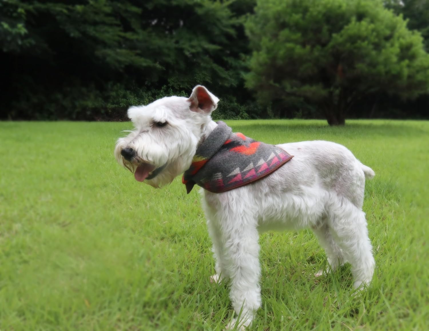 Walking Doggies | Wool Blend Ethnic Inca Pattern Dog Bandana