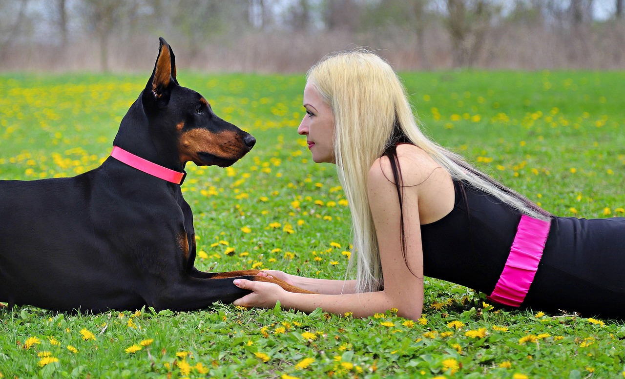 Walking Doggies | Dog and Owner Classy and Fabulous Peony Scarf Set