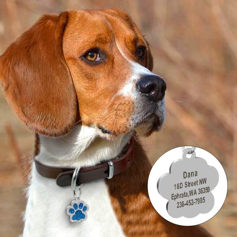 Walking Doggies | Handmade, Custom, Quiet Leather Dog ID Tag