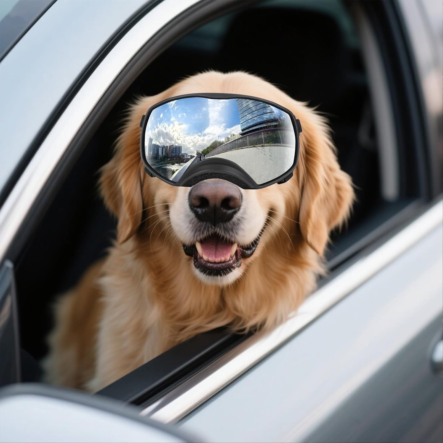 Walking Doggies | Goggles for Medium to Large Breed Dogs