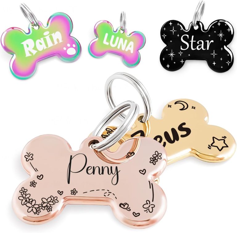 Walking Doggies | Stainless Steel Custom Dog ID Tag